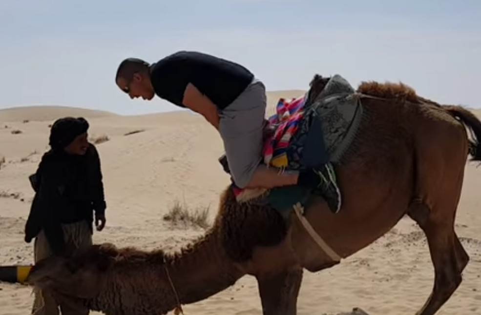 „Mit dem Kopf voraus von einem Kamel absteigen kann in vielen Fällen ...