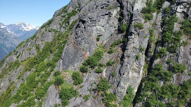 ber 100 g/t Gold: Goliath Resources meldet die nächste Neuentdeckung!