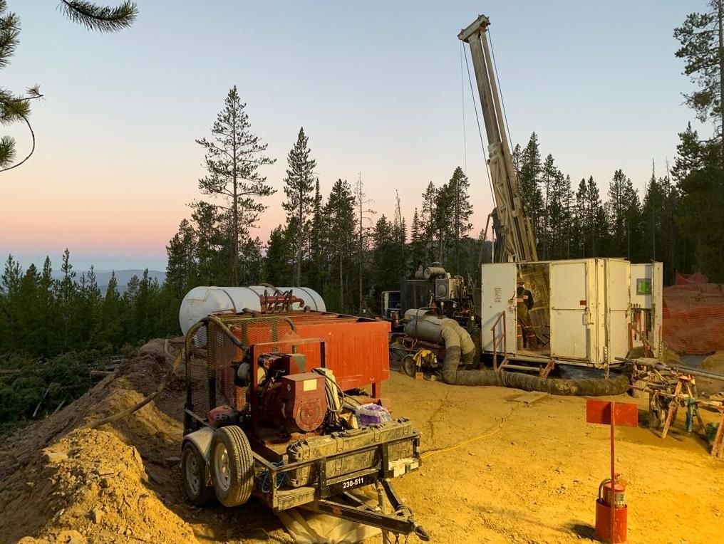 Teure Weihnachtsbäume – Gold und Klunker