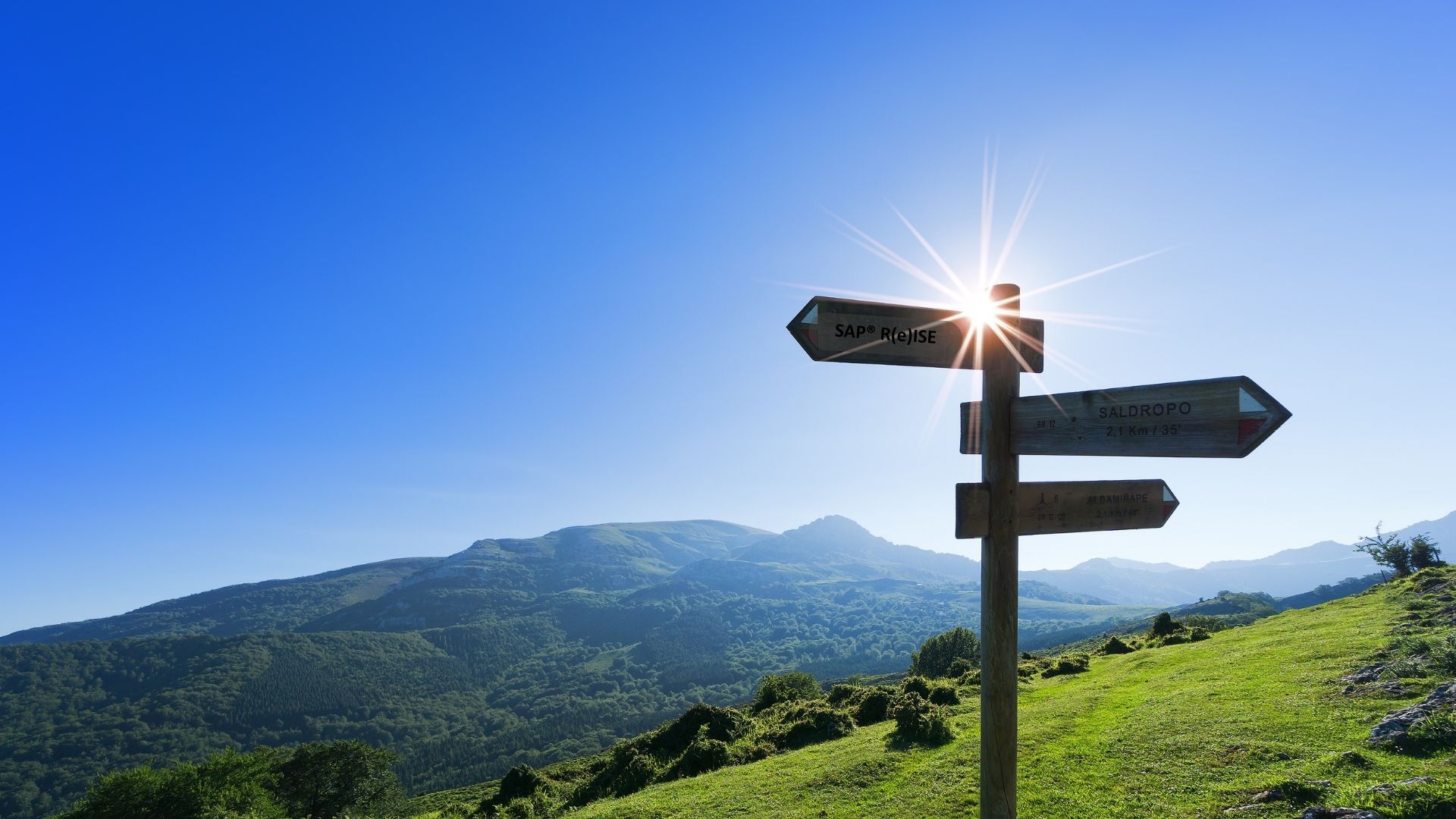 Vorbereitung ist die halbe Miete: SAP-Datenarchivierung bei der Migration zu SAP® RISE und SAP ...