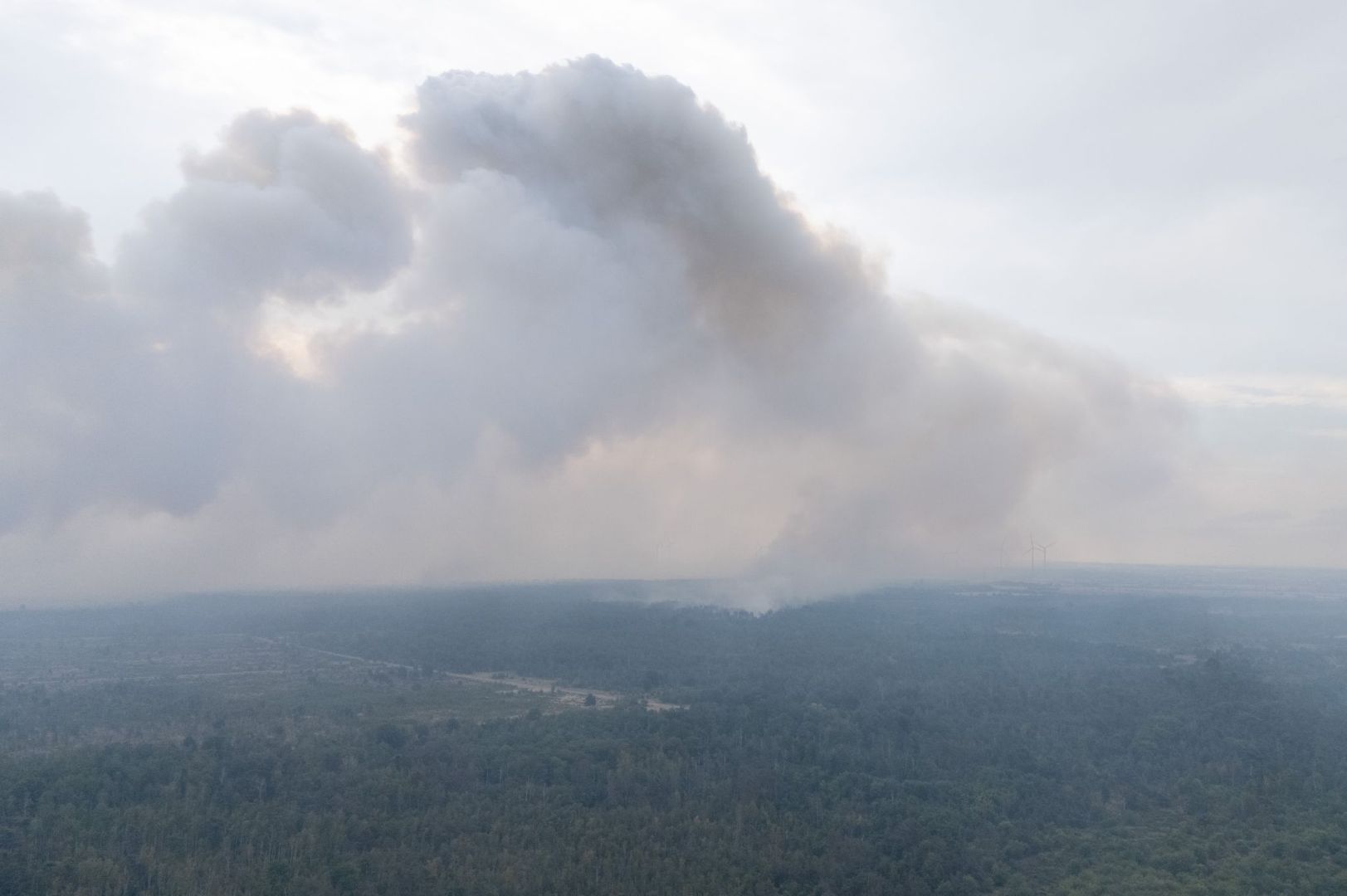 Mehrere Wälder im Osten Deutschlands brennen